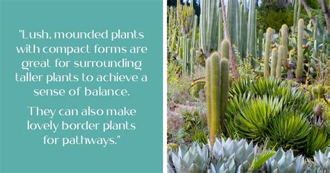 How To Design A Succulent Rock Garden OC Succulents