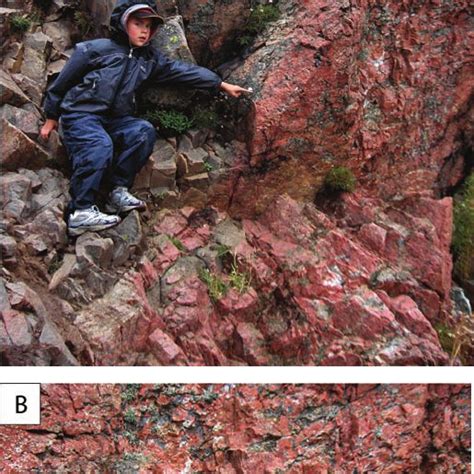 A Red Pegmatite Sample 2503 Main Pegmatite Body With Discordant Download Scientific Diagram