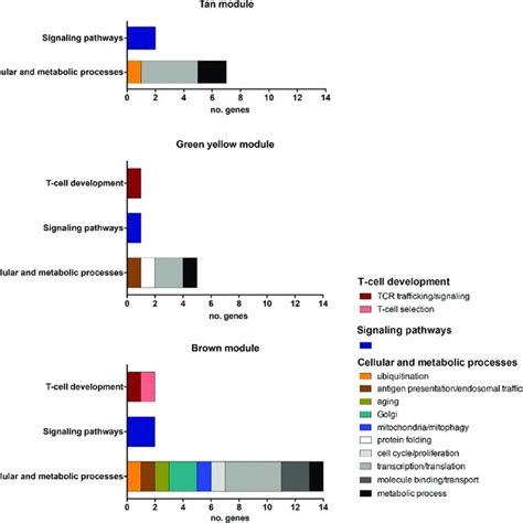 Hub Classification According To Functional Categories Biological
