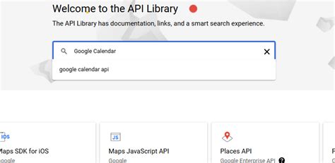 Google Calendar Integration Setup VISP