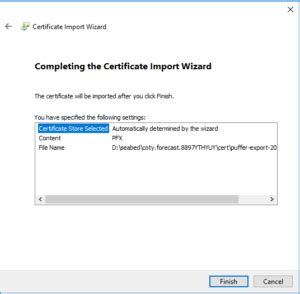 Import Ssl Certificate To Windows Server To IIS NickedEye Singapore