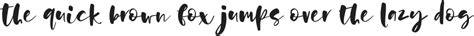 Hallsey Lowercase Script Font A Script Font By Missy Meyer