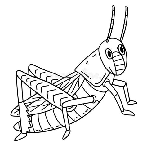 Coloring Cute Grasshopper Drawing
