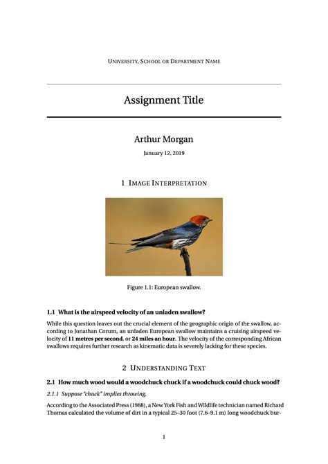 Latex Templates Wenneker Assignment