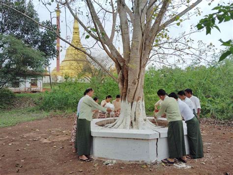 ကွန်ဟိန်းမြို့၌ ၁၃၈၆ခုနှစ် ကဆုန်လပြည့် ဗုဒ္ဓနေ့ ကဆုန်ညောင်ရေသွန်းလောင်းပွဲပြုလုပ