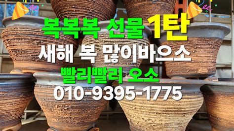복 1탄 대박 선물증정 다육 다육식물 다육화분 화분분갈이흙 010 9395 1775 Youtube