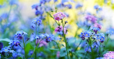 20 Beautiful Spring Color Schemes For 2021 Blog SchemeColor Com