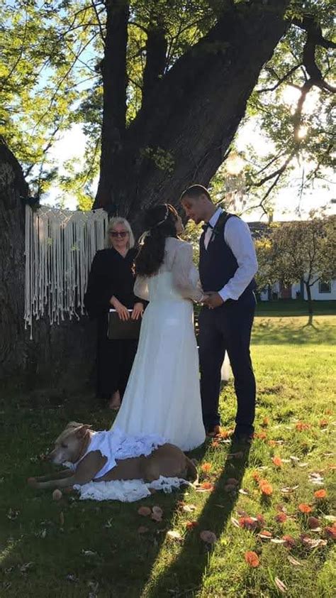 Will Tip Wizard 10 Usd To Remove The Justice Of The Peace Out Of My Wedding Photo Tyia R