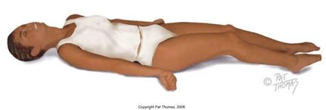 Neurological System Flashcards Quizlet