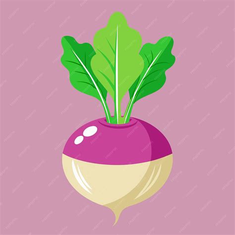 Premium Vector Turnip Root Vegetable Rich In Flavor And Nutrients