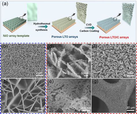 Figure 1 From Self Supported Hierarchical Porous Li4ti5o12carbon Arrays For Boosted Lithium Ion