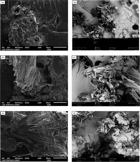 Sem Micrograph Surface Fracture Of Composites A 15 Wh Woven Fiber