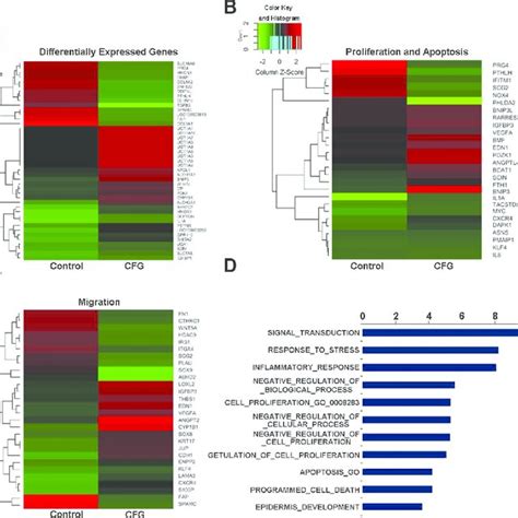 Hierarchical Clustering Analyses And Heatmaps To Show Differentially Download Scientific