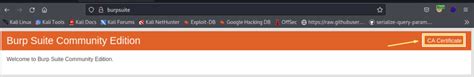 burpsuite proxy configuration for pentesters part 3