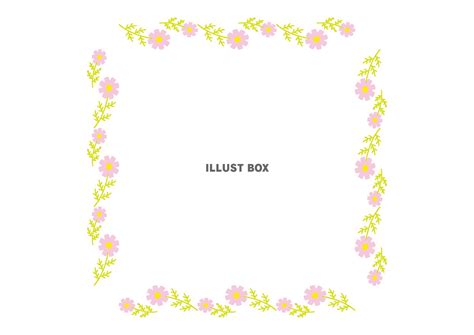 無料イラスト 4枠ピンクのコスモスの正方形フレーム