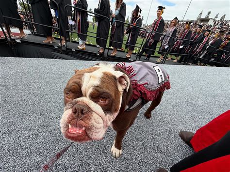 University Of Redlands Mascot George