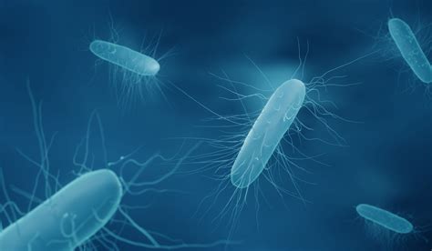Current Trends Treatment Strategies For C Diff Infection