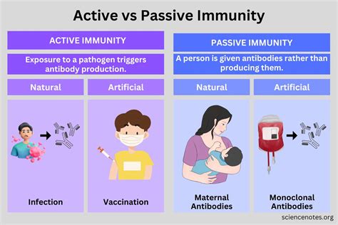 About Chemistry Active Vs Passive Immunity Definition Facebook