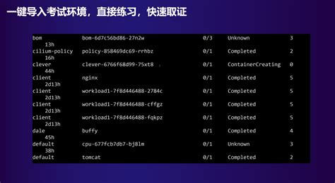 【2025 K8s Cka】云原生k8s管理员认证课 零基础、原理剖析、真题详解【共152课时】cka认证课程 51cto学堂