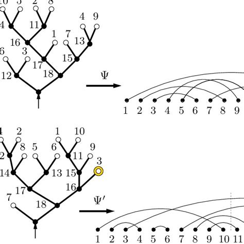 Bijections Between Labelled Binary Trees And Matchings Download