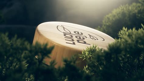 Lua Pele Cg Behance