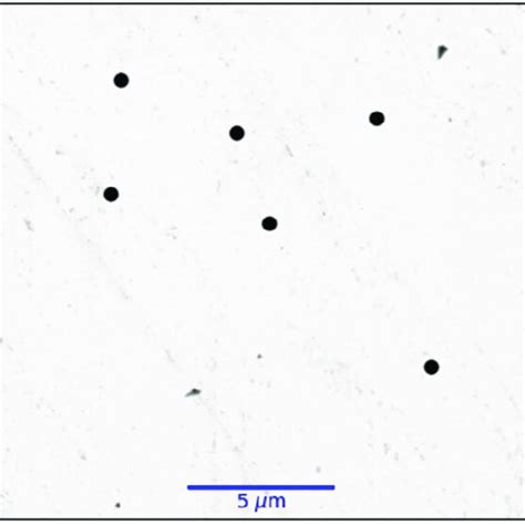One Of Several Hundred Stem In Sem Bright Field Micrographs Of A Sample Download Scientific