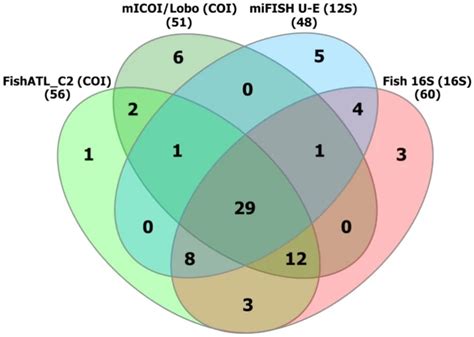 Publication On Dna Metabarcoding Use For Fish Species Identification In