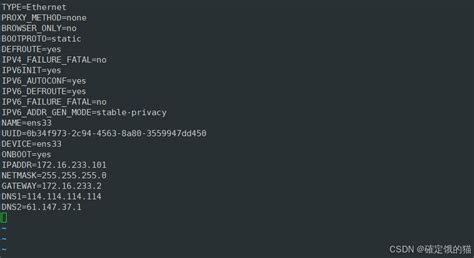 linux网络配置管理 ip addr show ens33 csdn博客