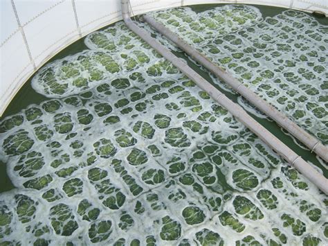 Flexair® Pro Fine Bubble Aeration Diffusers Disc Tube And Panel Edi