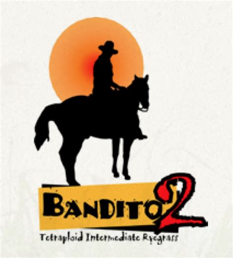 Bandito Ii Intermediate Ryegrass Lolium Hybridum Great Basin Seeds