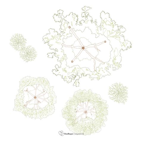 Cad Detailed Trees Toffu Co Architecture Presentation Color Vector Trees Top View