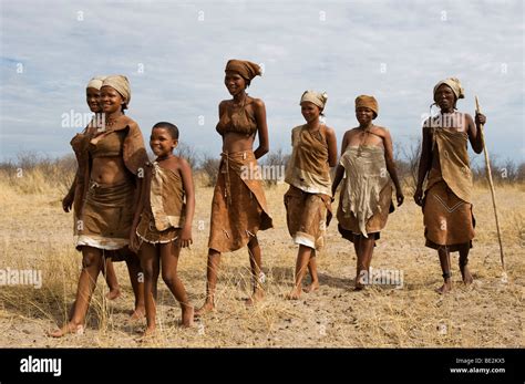 Naro Bushman San Women Walking Central Kalahari Botswana Stock