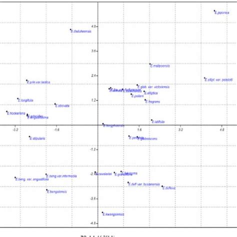 Principal Coordinate Analysis Pcoa Performed On 40 Morphological