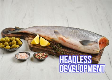 What Is A Headless Architecture And How Is It Changing Web Development