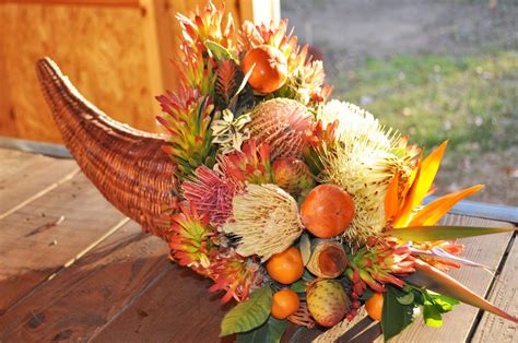 A Symbol Of The Harvest