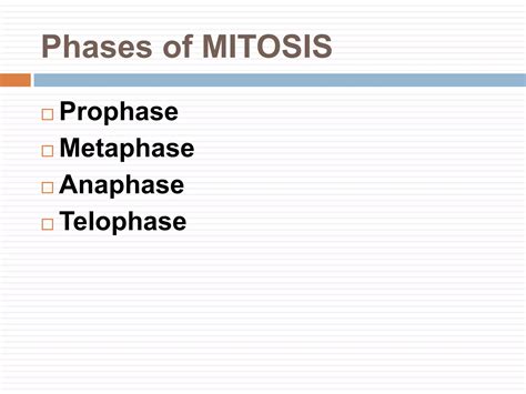 Mitosis The Equational Division Pptx