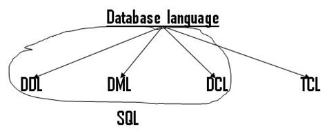 Relational Database Management System What Is DBMS Languages Its Commands