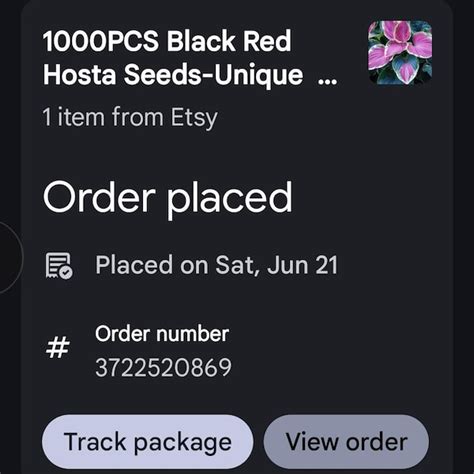 1000pcs Black Red Hosta Seeds Unique Easy To Grow Perennial Low
