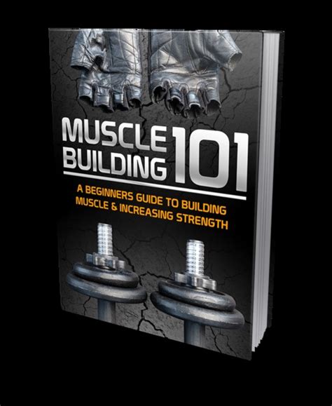 Muscle Building 101 A Beginners Guide Tradebit