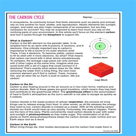Carbon Cycle Assignment English Literature Studocu