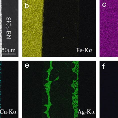Microstructure And Eds Compositional Maps Of The Joint Brazed With