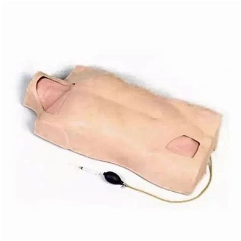 Full Functional Central Injection Torso Model At Piece NURSING SKILL TRAINERS In
