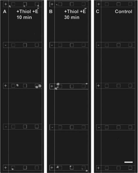 Miscellaneous Techniques For Cell Trapping