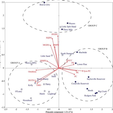 Partial Base Peak Chromatogram Gaussian Smoothed Of The Hplc Esi Ms Download Scientific