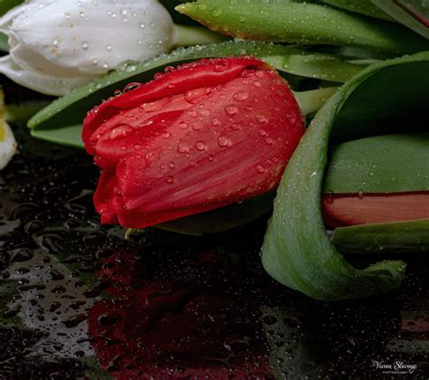 Plexiglass Photography On Behance