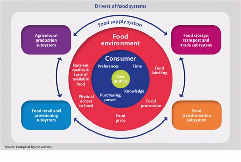 1 Conceptual Framework For The Links Between Diet Quality And Food