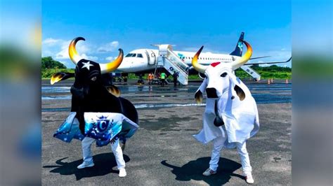 Azul Agora é Patrocinadora Do Festival De Parintins