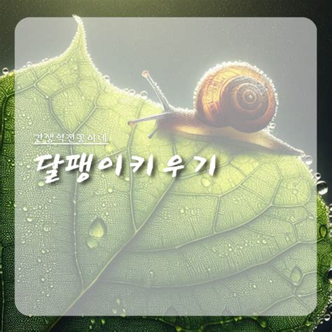 달팽이키우기 동양 명주 아프리카왕달팽이 금와 백와 흑와 키우는법 네이버 블로그