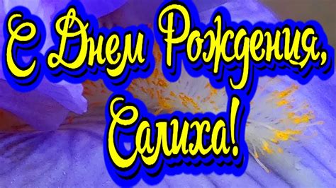 С Днем Рождения Салиха Новинка Прекрасное видео поздравление СУПЕР ПОЗДРАВЛЕНИЕ Youtube
