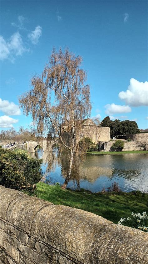 Go Team Miad 👏 Libby Ryan